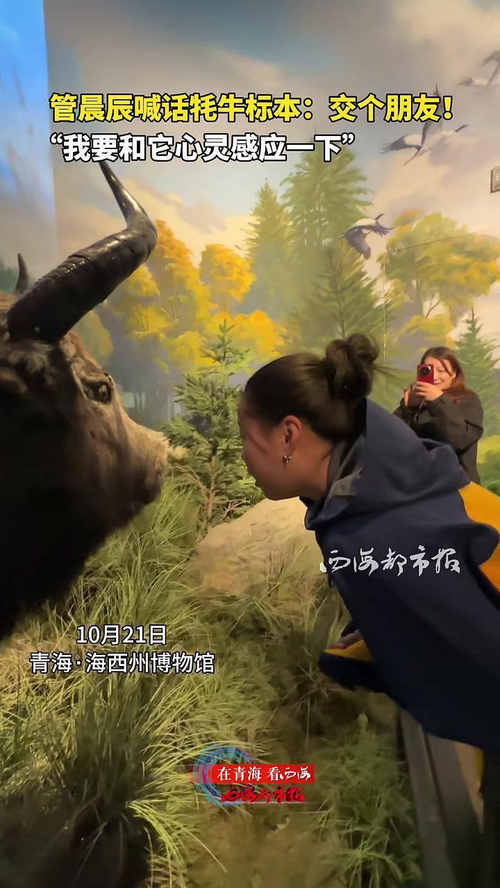 管晨辰喊话牦牛标本:交个朋友。“我要和它心灵感应一下”#管晨辰