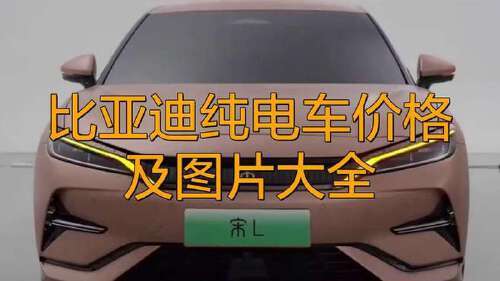 比亚迪纯电全系价格曝光!哪款车型颜值与性价比最让你心动?