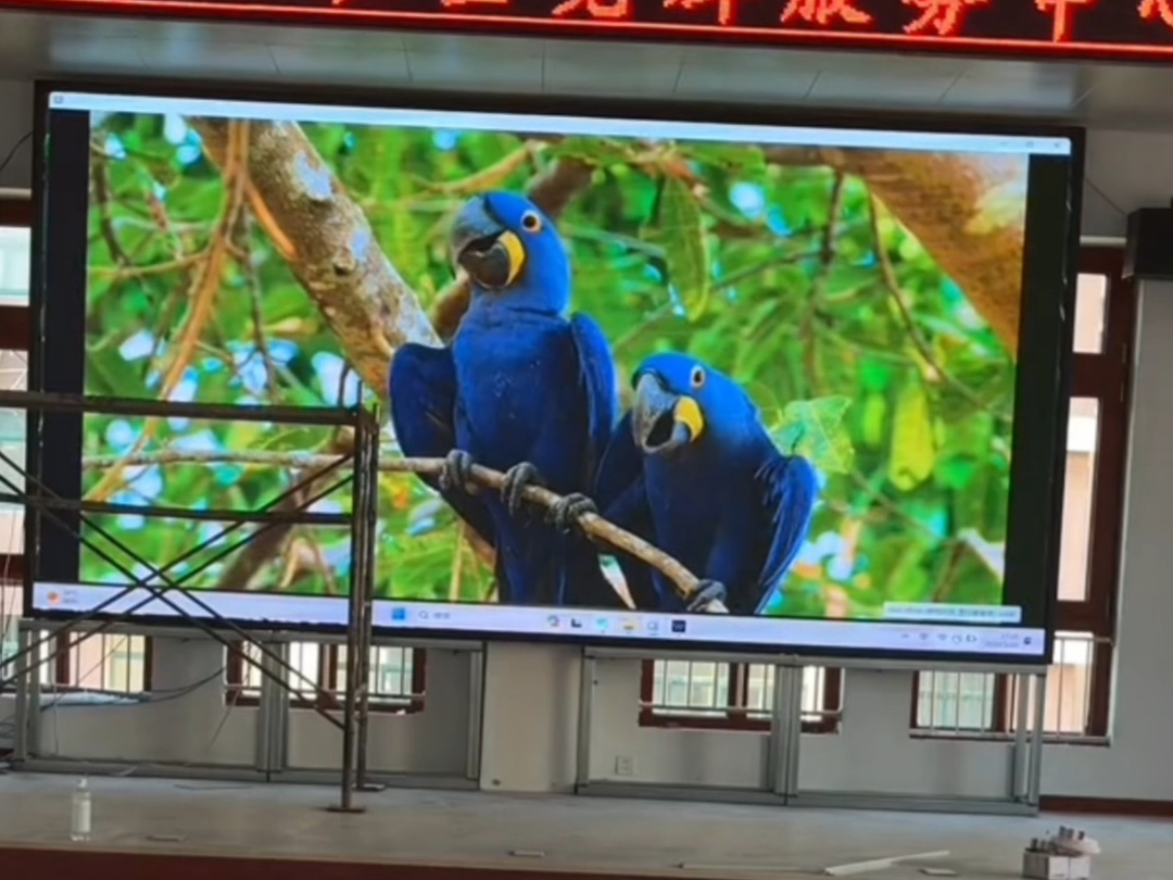 社区大厅显示屏