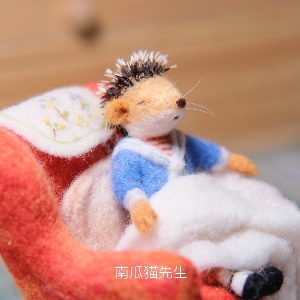 南瓜猫先生 