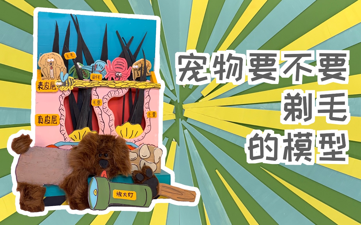 【模型师老原儿】夏天到了～要不要给宠物剃个毛呢?