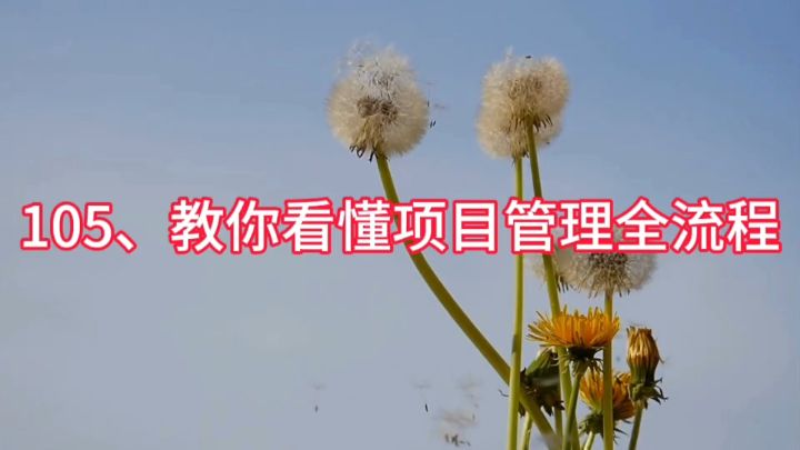 105、教你看懂项目管理全流程
