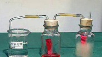 我在氯气与水的反应——氯水漂白性验证(视频)截了一段小视频