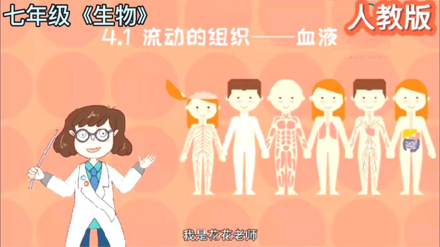 七年级《生物》:流动的组织—血液。小初全动画课,学习轻松有趣