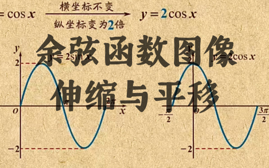 高中数学|【第五章 三角函数】25 余弦函数图像的伸缩与平移
