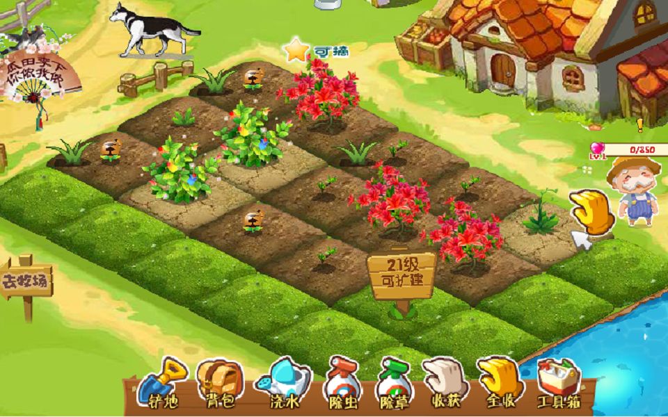 【QQ农场2.0魔法池-魔法竞技场】老爹说过,要用魔法打败魔法!?