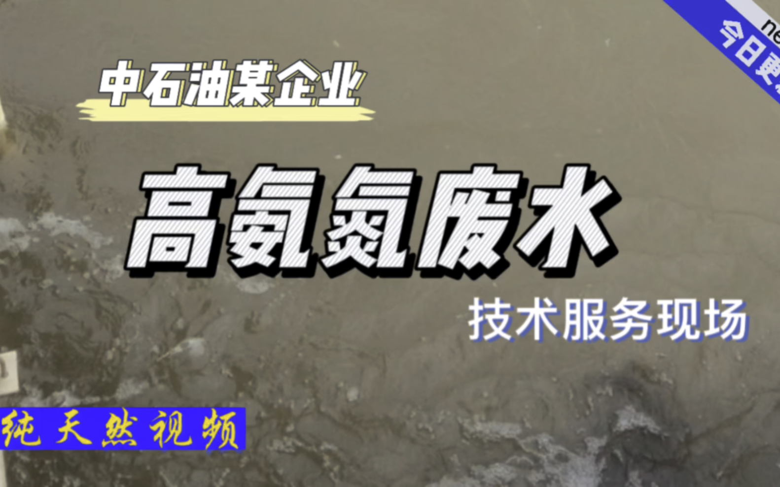 某合成氨企业高氨氮废水处理站技术服务现场