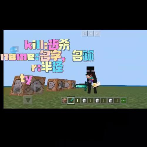 谁能打出简单的定时清理掉落物指令吗?