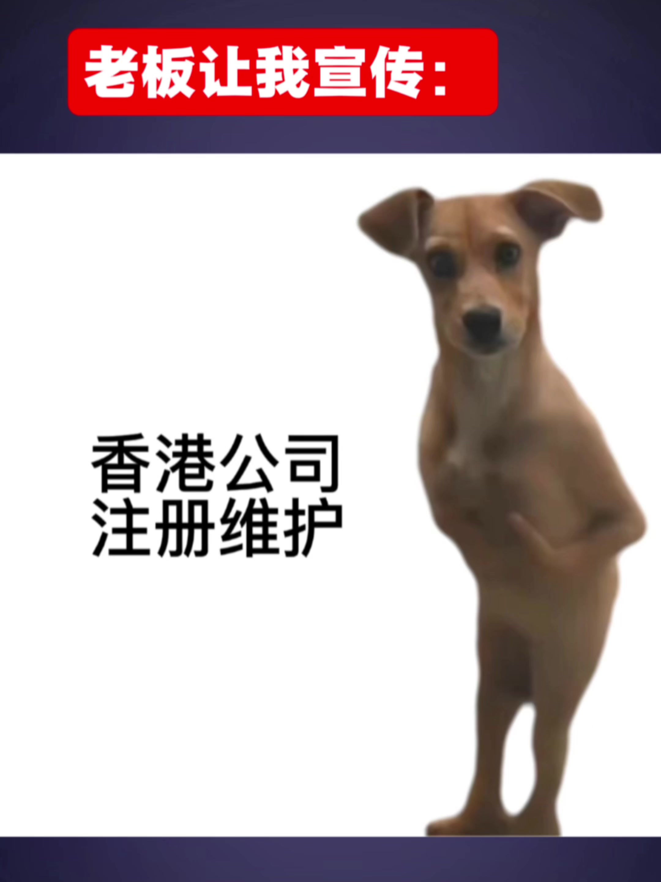 香港公司优势:外汇自由、税率优、门槛低、易维护、贸易有优势 #香港...