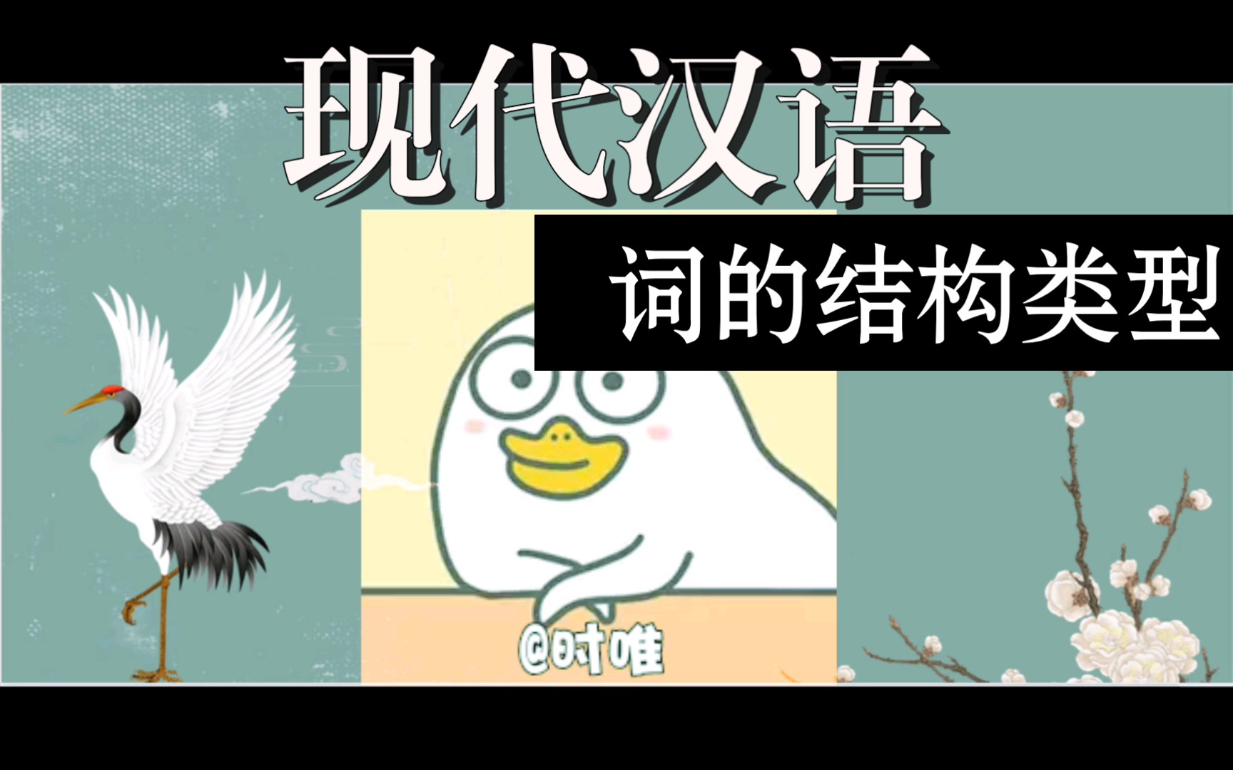 【现汉】塑料普通发、无BGM版的现代汉语词的结构类型讲解!