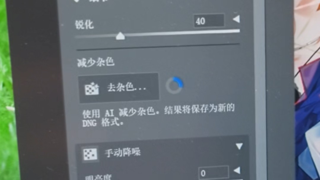 论全新camera raw的ai降噪效果有多离谱