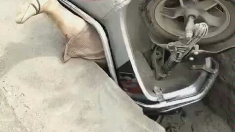 (转载)—骑行电瓶车要注意安全