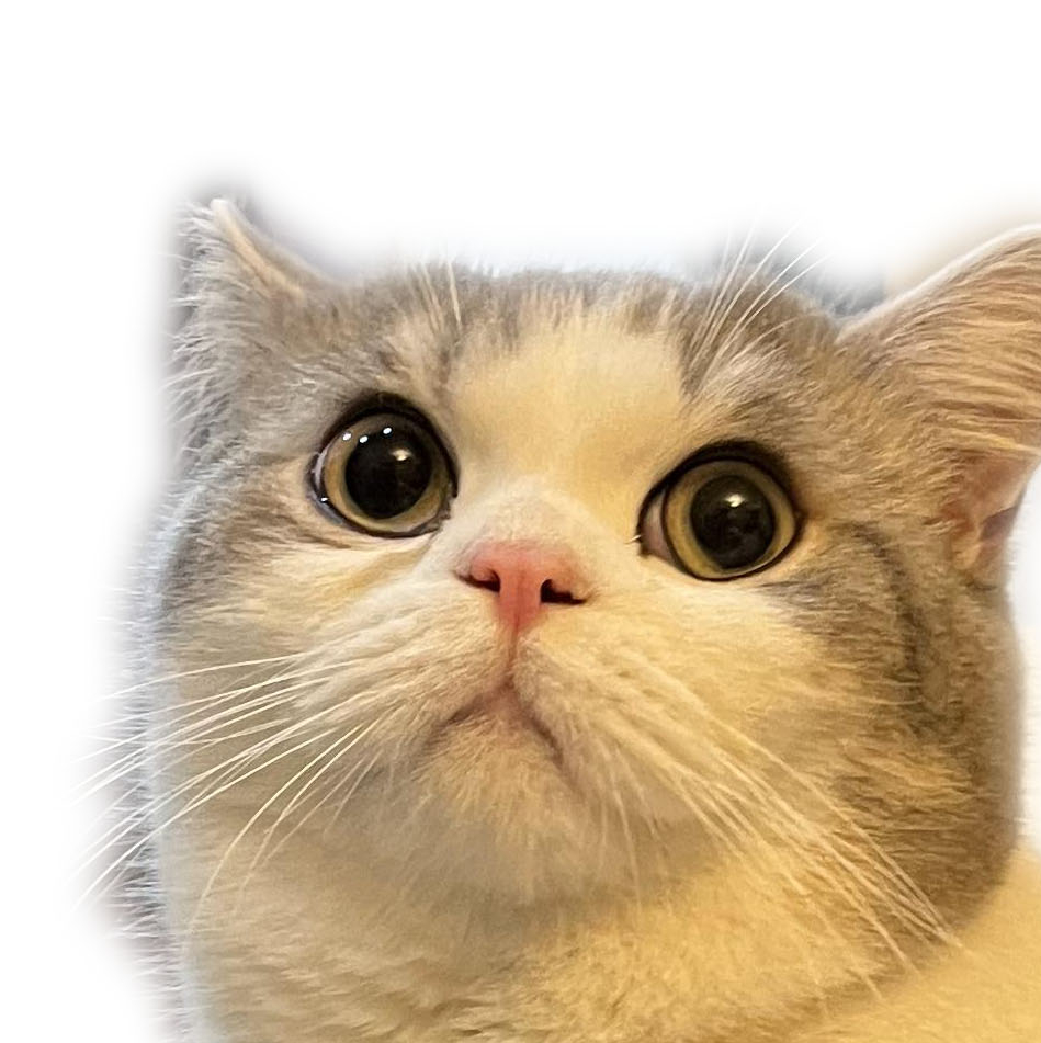 司徒一辰 