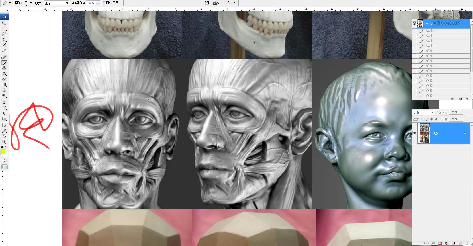 3D模型制作,人物头部肌肉讲解2