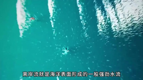 离岸流危机重重海边游玩要小心如果遇到如何自救逃生?
