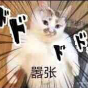 花满锤 