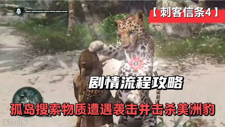 【刺客信条4】剧情流程攻略,孤岛搜索物质遭遇袭击并击杀美洲豹