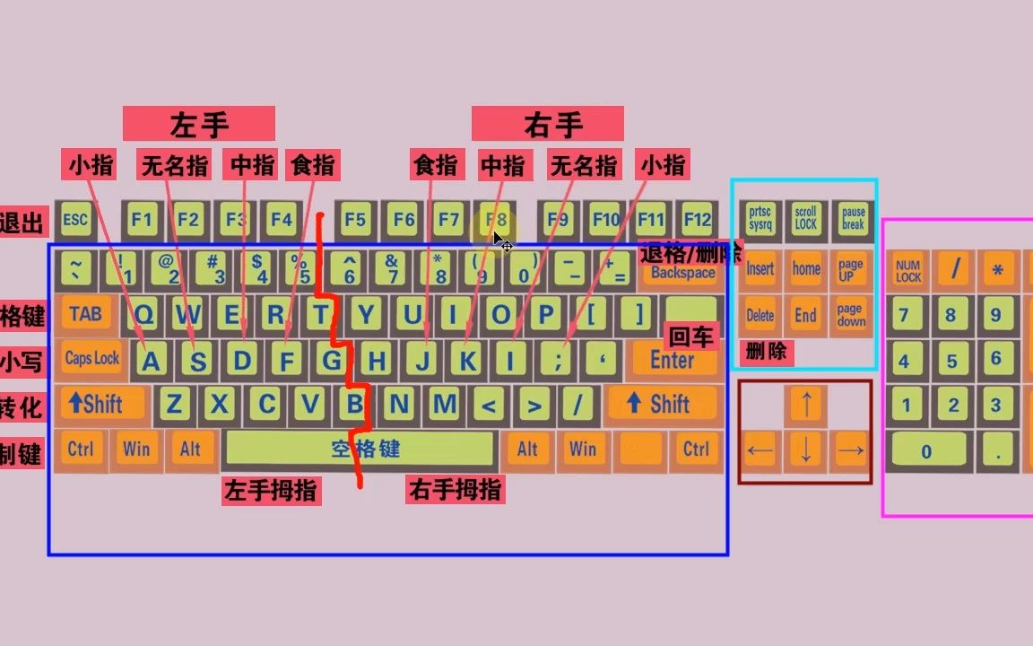 零基础学电脑打字,快速学会键盘打字,适合初学者学习