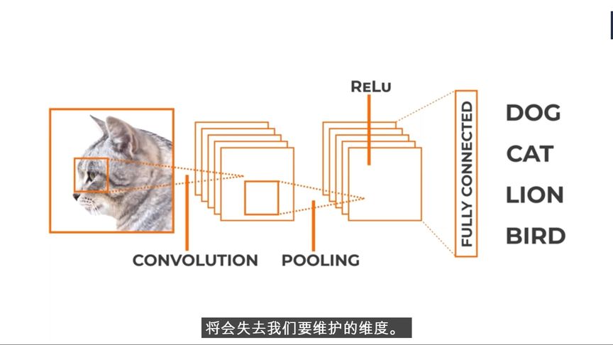 什么是卷积神经网络?深度学习第五讲