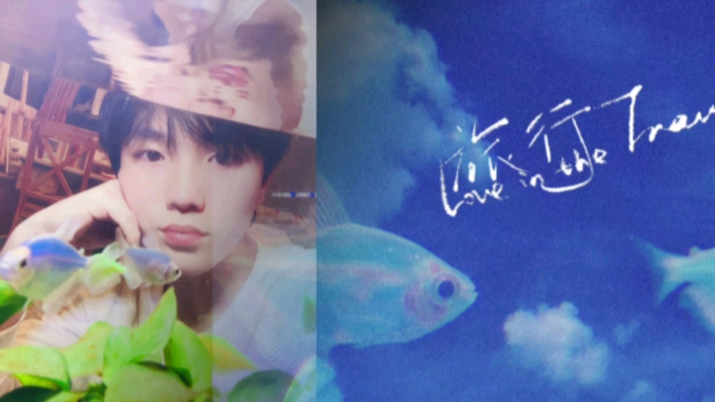 苏新皓>>原创单曲《旅行》伪MV◎来看看TF家族三代第一创作人的...