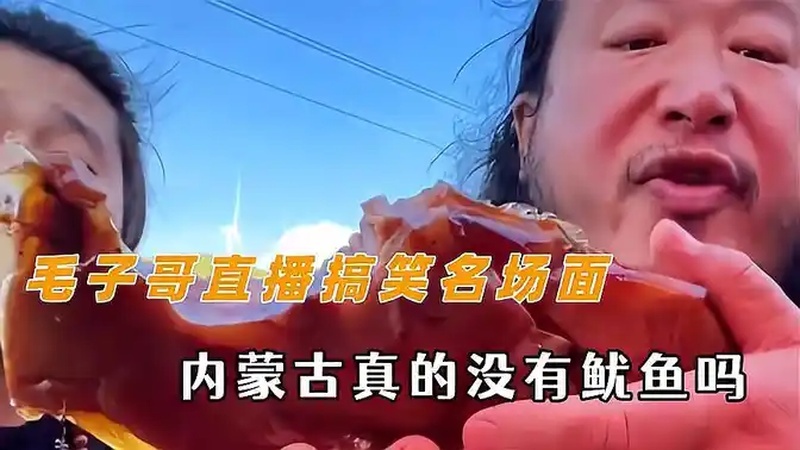 毛子哥直播搞笑名场面 内蒙古真的没有鱿鱼吗,毛子哥CPU干废了
