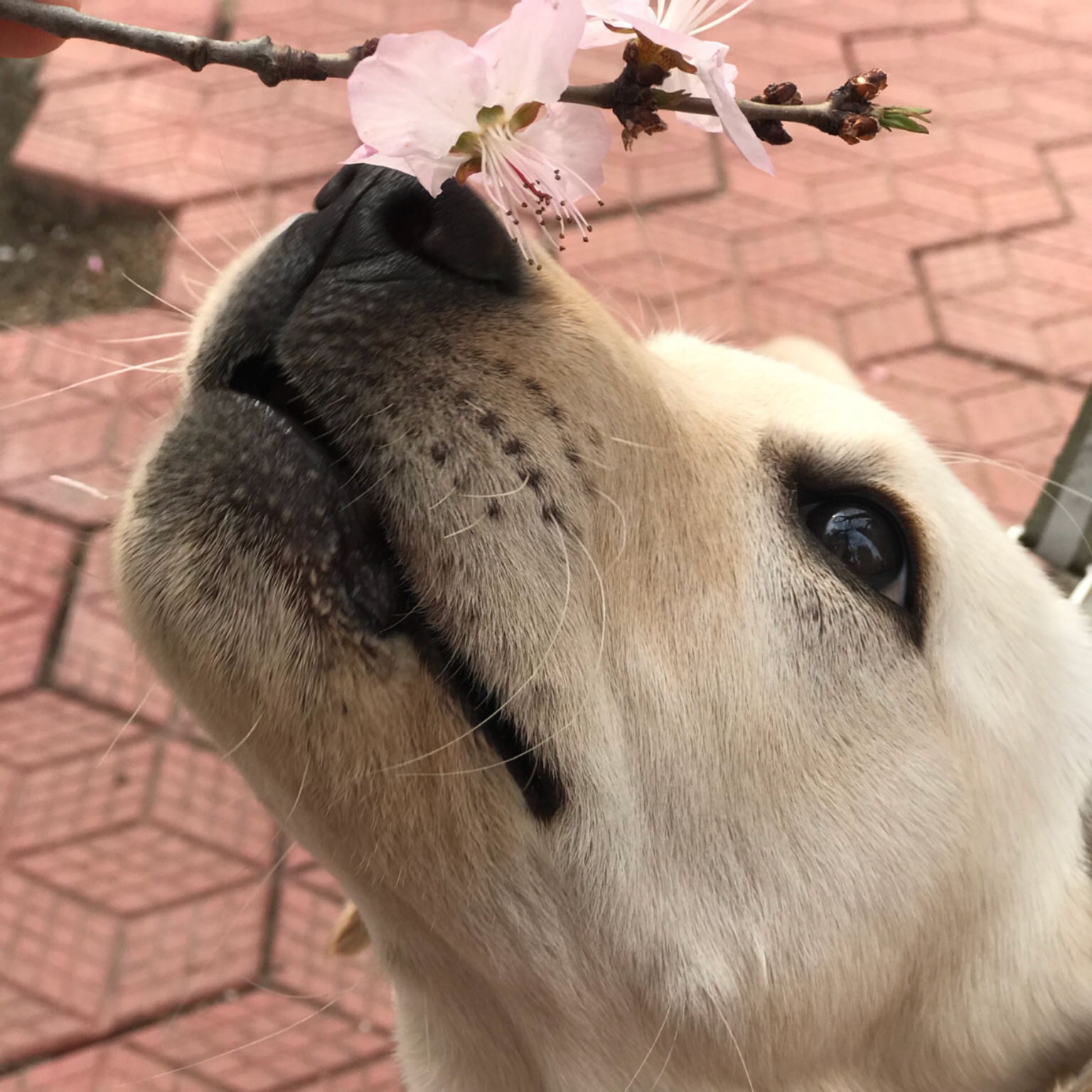 老赵想说 