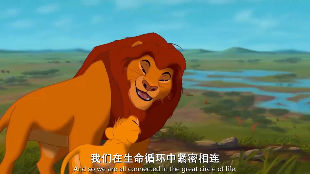 狮子王配音 单人 原版素材