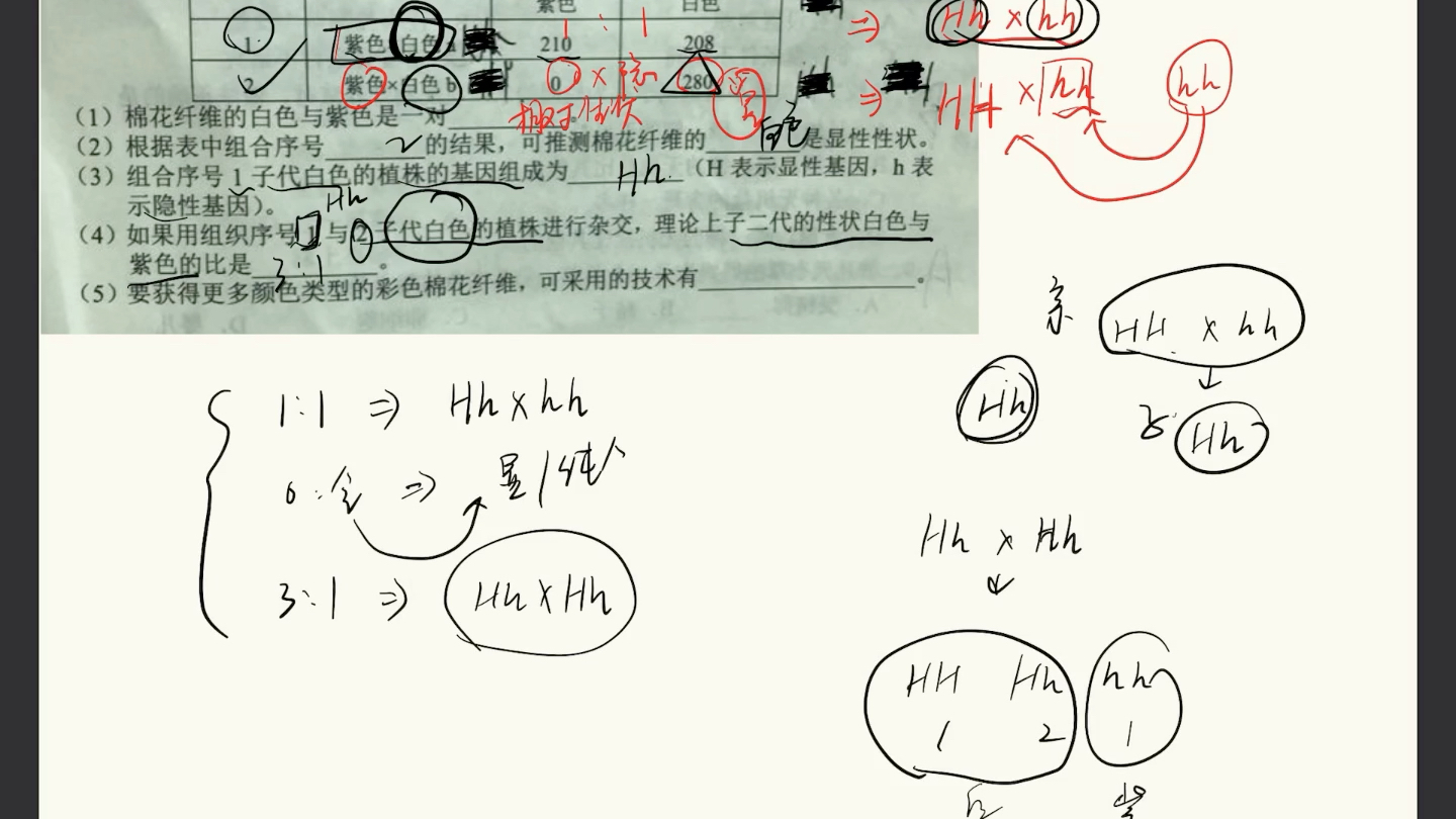 初中生物会考/中考 (遗传答题技巧)
