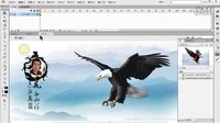 Flash入门动画教程18 矢量图和位图 分离