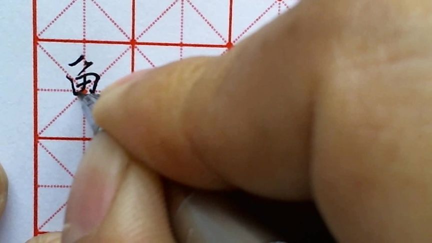 行书楷书一起练之“鲁”字的写法,写好钢笔字,从今天开始