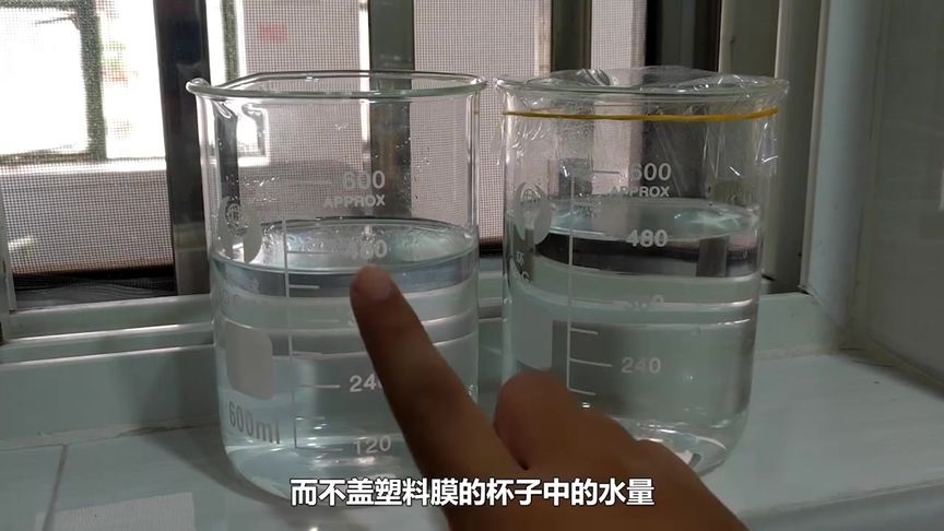 小学科学实验探究【水】1.观察水量的变化