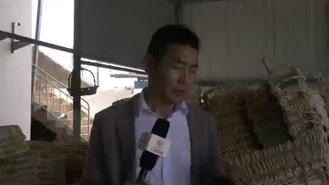 阜南县柳编产业行业协会:“小协会”撑起乡村振兴大产业