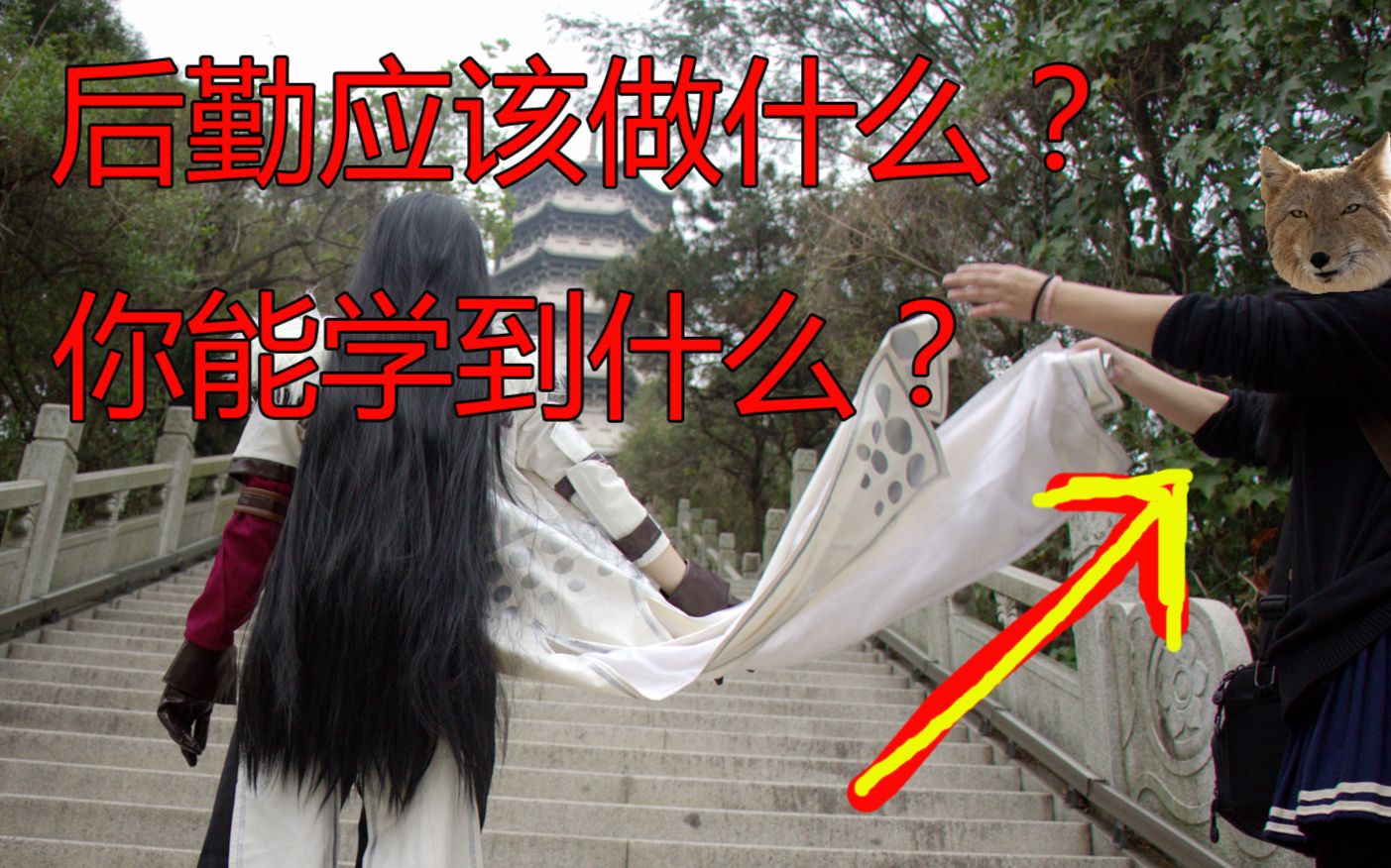 【科普吐槽向】真正的后勤应该做什么?请善待你身边每一个愿意给你...