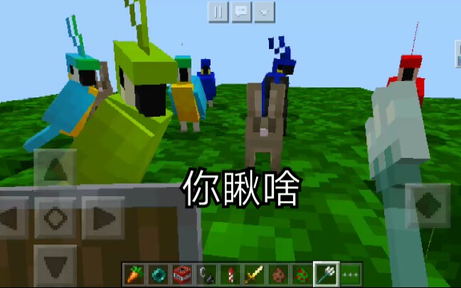 我的世界: 游戏实况-c哥游玩