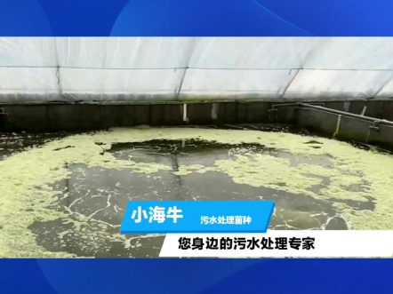 氨氮超标的注意事项? 氨氮超标,要特别注意什么?氨氮超标要排查什么...