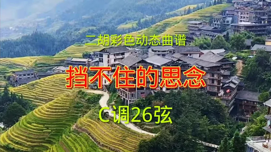 《挡不住的思念》二胡独奏动态曲谱