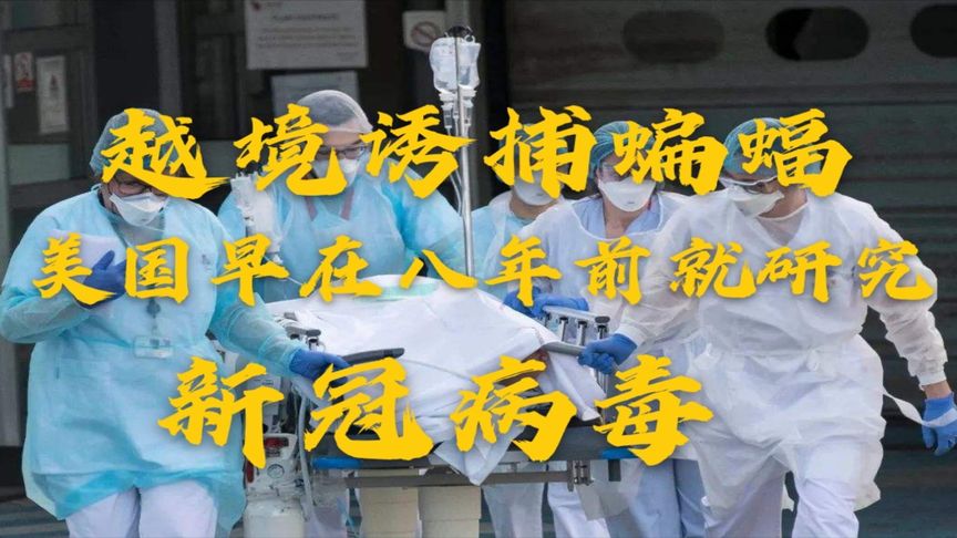 美国实验室内部人士:美国早期就研究“新型冠状病毒”
