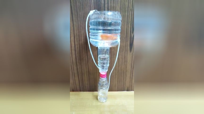 免电!自动循环水养鱼!完全绿色健康
