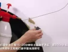 标准汽车喷漆操作