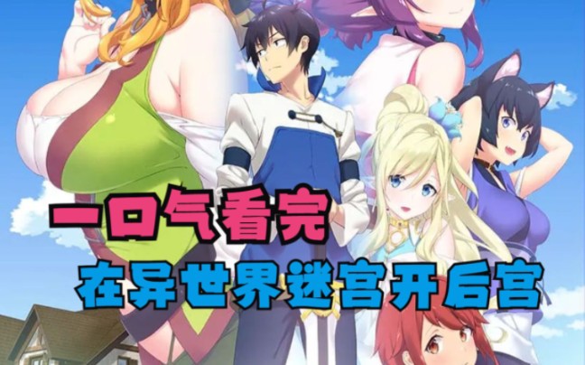【一口气看完系列】男主发现隐藏职业,只开后宫就能变强 !《在异世界...