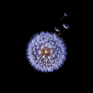 寻找我周董的晴天 