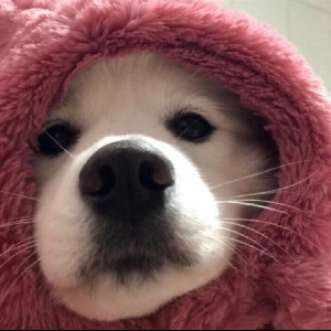 哦陪远看山有色 