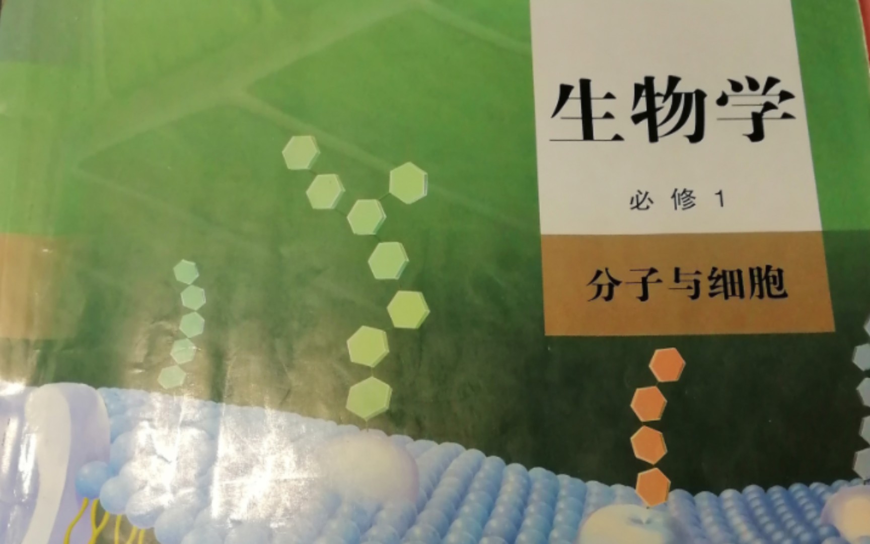 读课本77:生物必修一之细胞是生命活动的基本单位
