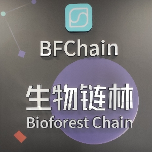 BFChainMeta元宇宙 