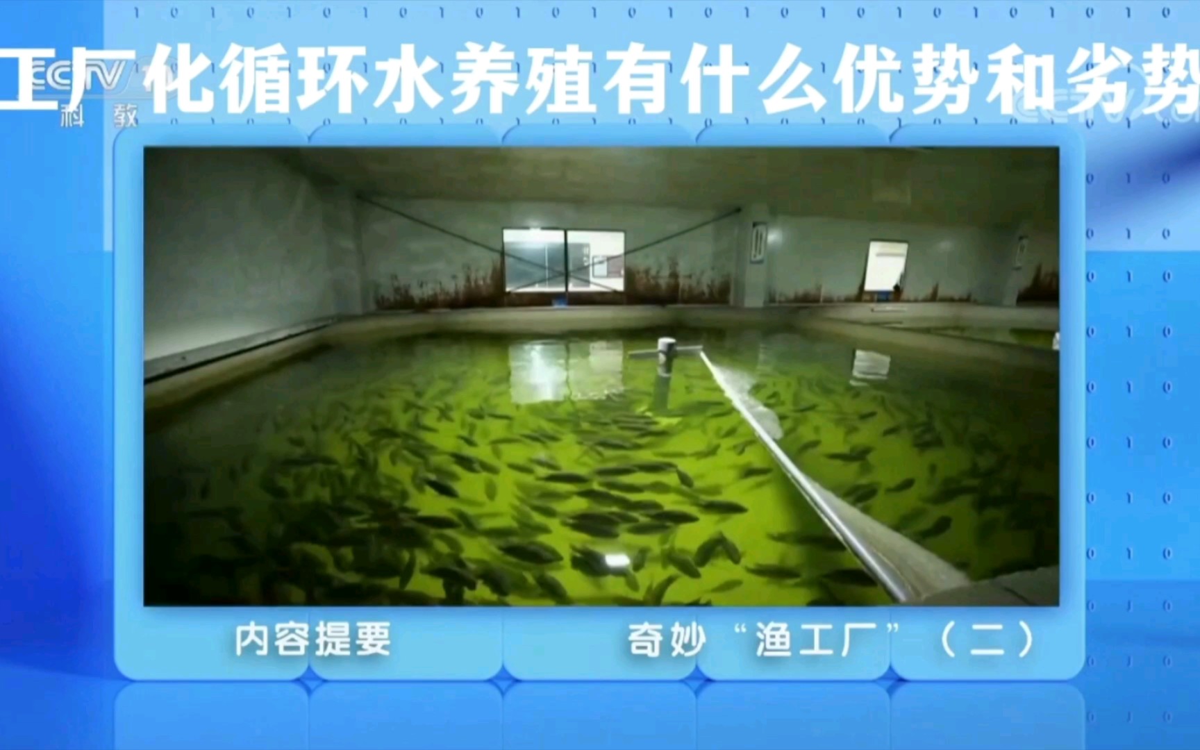 工厂化循环水养殖有什么优势和劣势