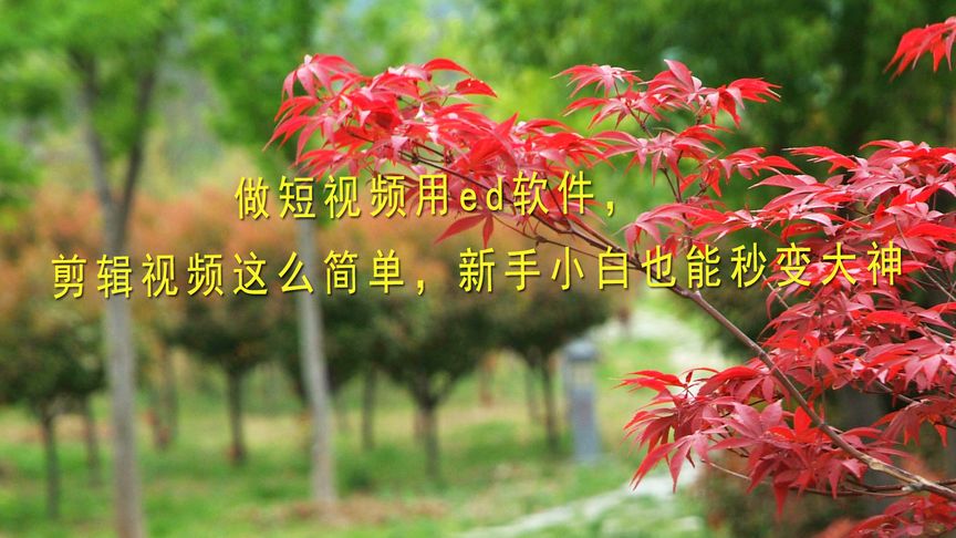做短视频,用ed软件,剪辑视频这么简单,新手小白也能秒变大神
