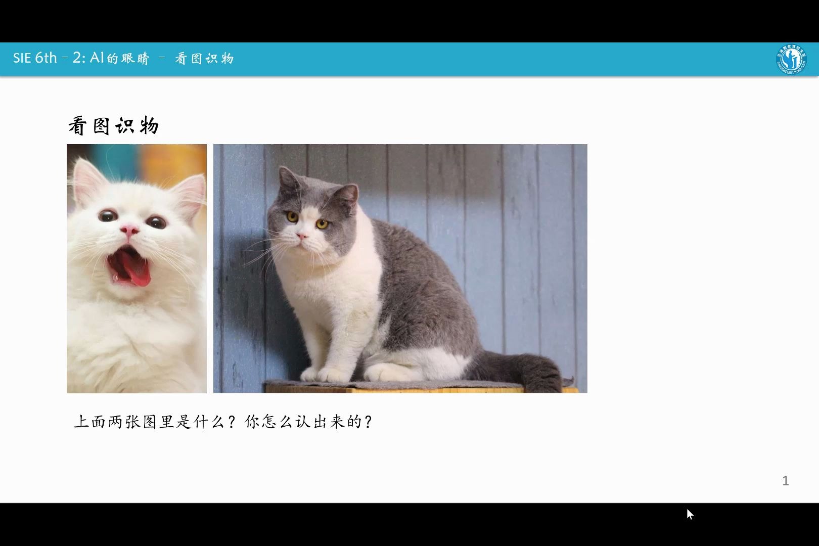 AI系列课第二讲:AI的眼睛-看图识物