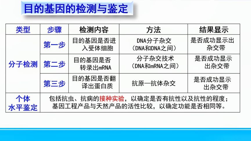高中生物选修三～目的基因的检测与鉴定