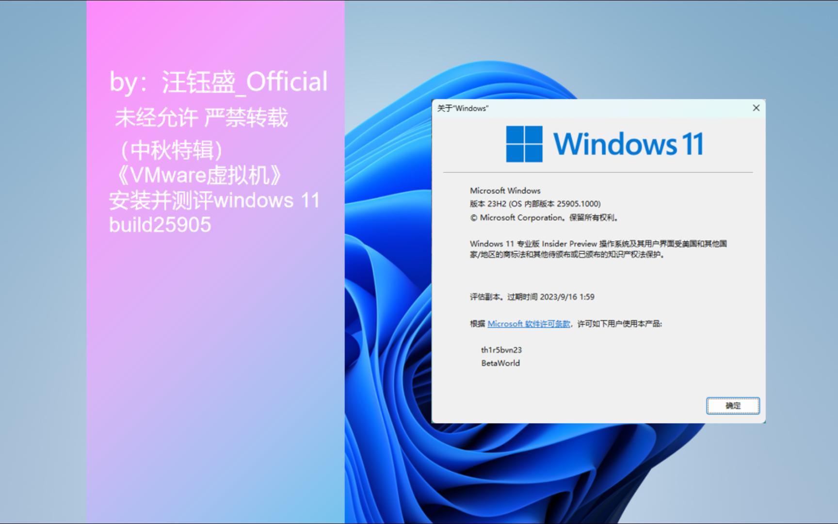 (中秋特辑)《VMware虚拟机》安装并测评windows 11 build25905