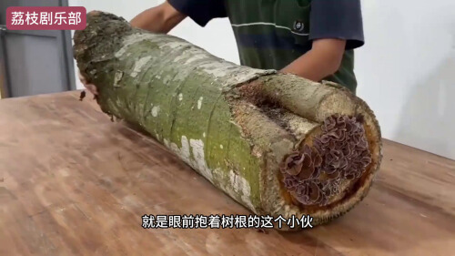 太棒了,小伙竟然把一根树根打造出精美实木餐桌